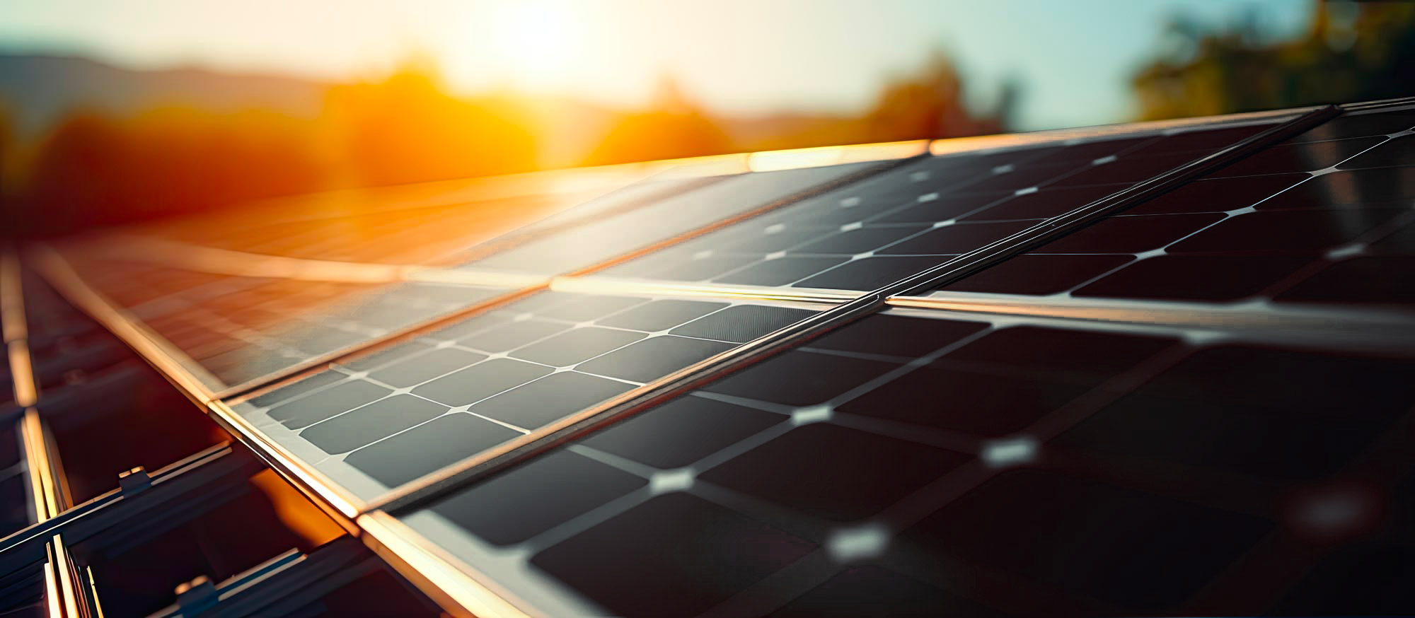 Contacts - Capner LU